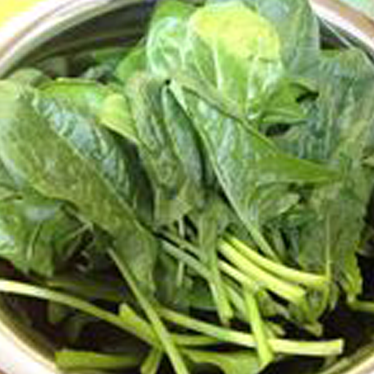 子育てチャンネル「いくれぽ」